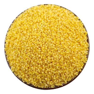 山西小米农家肥种植小黄米无农药