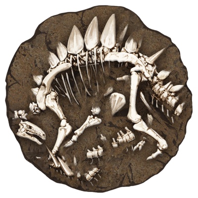 墨鱼游戏恐龙时代化石金属纪念币