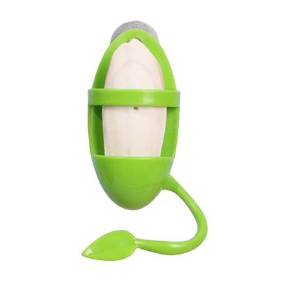 墨鱼骨架虎皮玄凤鸟蔬菜补钙鹦鹉