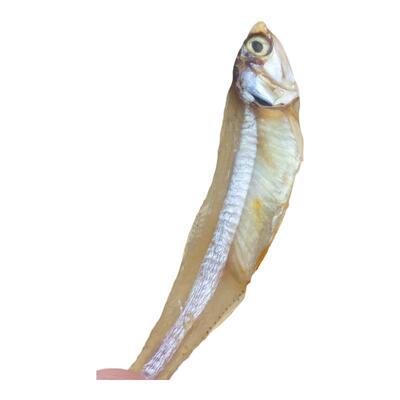 北海特产白饭鱼干小银鱼干