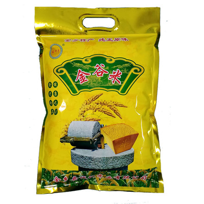 2025金乡马庙金谷小米5斤装