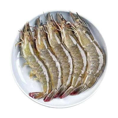 盐冻大虾鲜活速冻基围虾