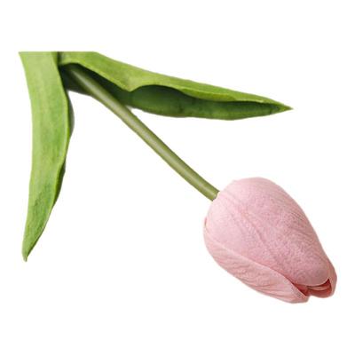 JOJO'SLIFEPDPU迷你郁金香