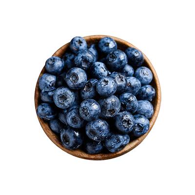 旭耕有机蓝莓新鲜现摘包邮