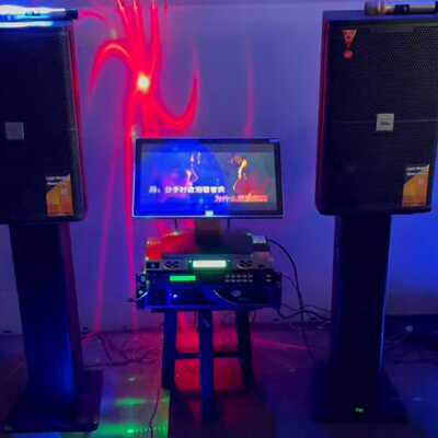 JBL KES6120MK II   12寸专业KTV家庭K议价