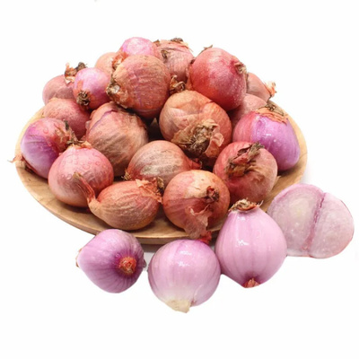 红葱头新鲜包邮小洋葱头单粒圆独头葱广东农家现货做台湾葱油酥