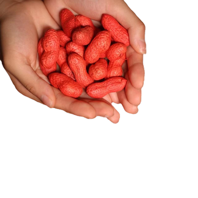 结婚用品染色花生枣生贵子红花生长生果陪嫁铺床摆正品官方旗舰店