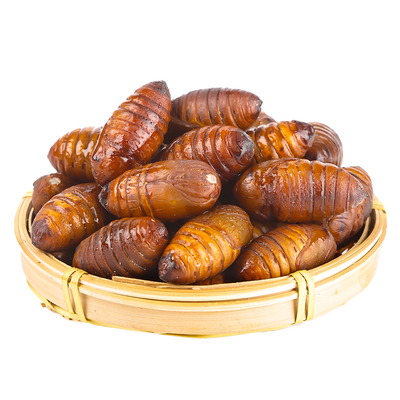 新鲜活黑黄蚕蛹东北茧蛹500gA级