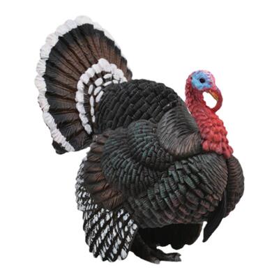 CollectA火鸡动物模型玩具