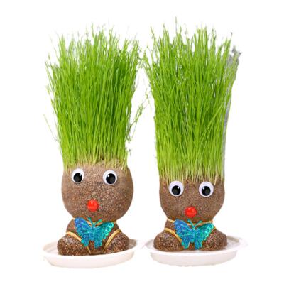 虫虫菜园头上长草娃娃小盆栽种草