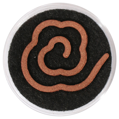 天然芽庄沉香檀香祥云盘香70分钟