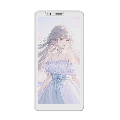 适用BIGME大我Hibreak Pro Color/S阅读器保护膜贴膜磨砂膜书写膜防爆膜非钢化膜防反光防眩光HibreakPro软膜