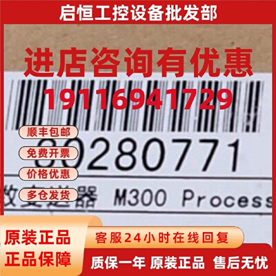 议价梅特勒M300 PROCESS  1/2DIN  30280771