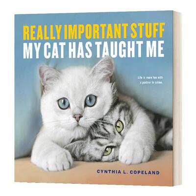 英文原版 Really Important Stuff My Cat Has Taught Me 猫教会我的那些重要事情 英文版 Cynthia L. Copeland 进口英语原版书籍