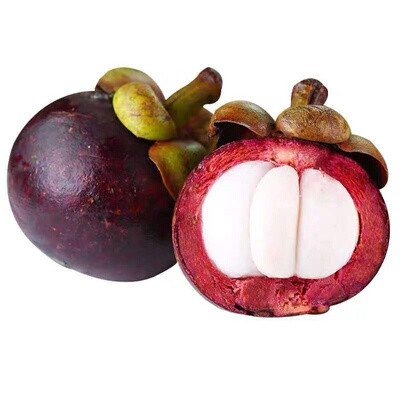 泰国进口山竹树苗山竹树果苗红皮白肉无籽地栽当年结果南北方种植