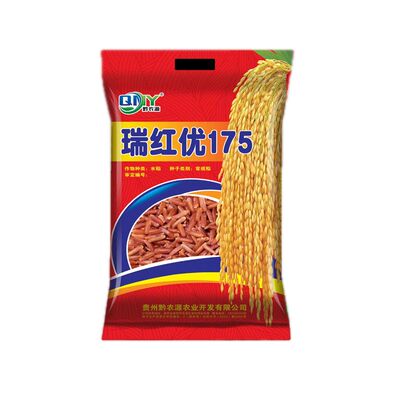 红米水稻种子瑞红优175红米营养