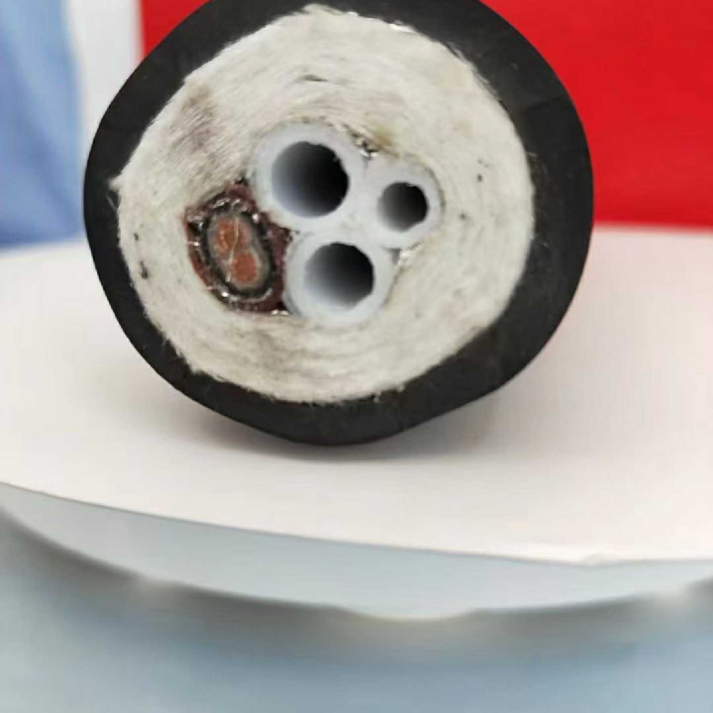 自家伴热管线工厂 烟气/VOC 在线监测设备配件伴热管伴热带