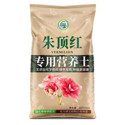 朱顶红专用土球根壮大花期长