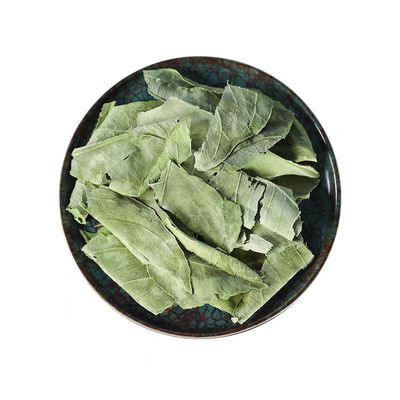 压不降全额退专攻高皿压柿子叶茶