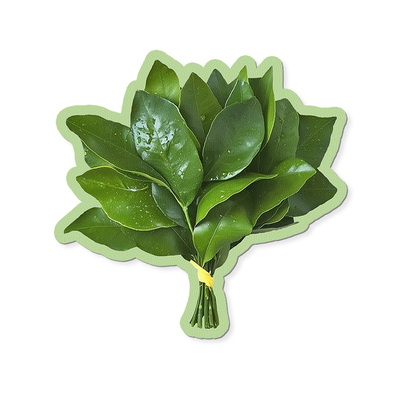 【赵露思同款】柚子叶鼠标垫防水