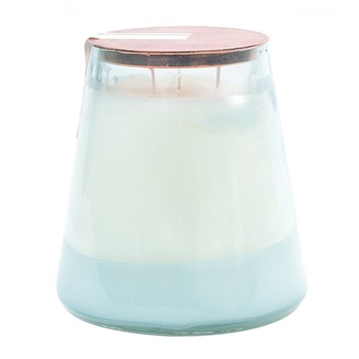 paddywax美国植物精油香薰蜡烛