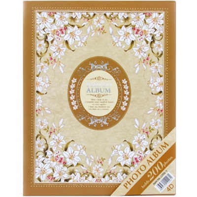 家庭ZJ821插页式6寸相册