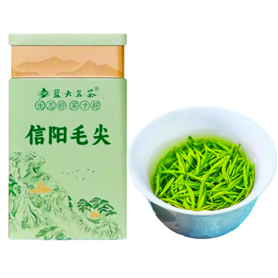 2025年新茶信阳毛尖绿茶雨前一级