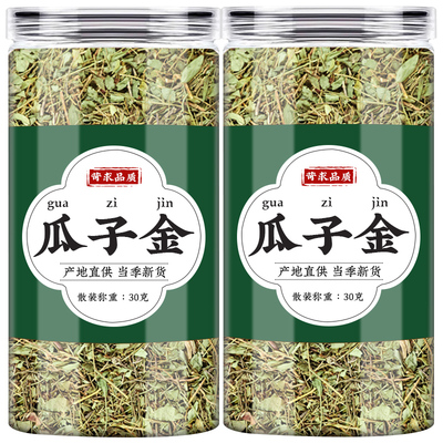 瓜子金中药材辰砂草金锁匙瓜子草