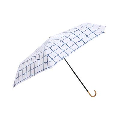 珍妮花彩胶防晒遮阳晴雨两用伞