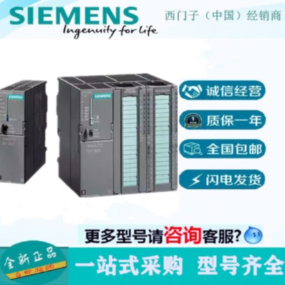 议价6ES7313-6CF03-0AB0西门子CPU313C-2D模块P6ES7313-6CG04-0AB