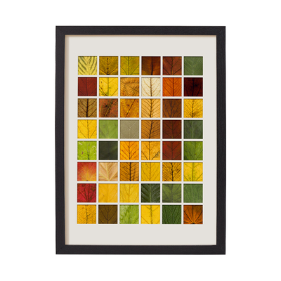 树叶标本相框宫格24 48格子空框手工diy创意落叶捡秋收集装饰画框