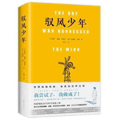 驭风少年新经典小说励志