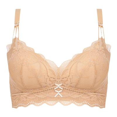 丽人新款LJT1H1小胸聚拢蜜桃杯调整侧收副乳防下垂五排扣文胸