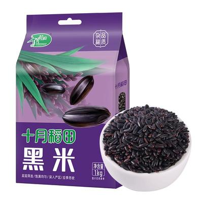 十月稻田东北黑米粗粮
