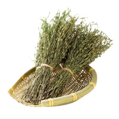 广西野生独脚金消疳积草小童煮汤水新鲜生晒官方旗舰草药独角消积