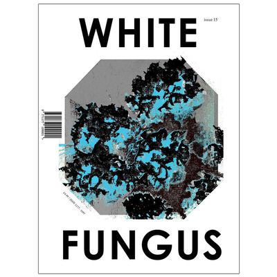 订阅 White Fungus银耳 前卫艺术杂志 台湾台中英文原版 年订1期 A112 年订1期