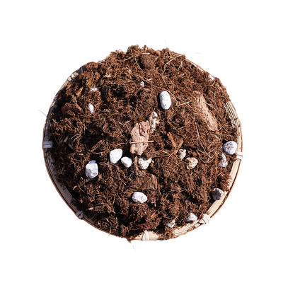 龟背竹专用营养土热植通用泥炭土