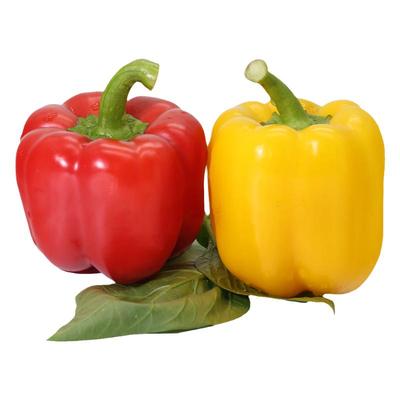 密云农家新鲜彩椒红黄一个口感