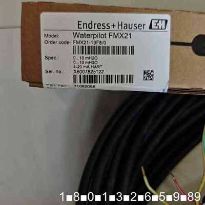 议价waterpilot FMX21-19F8/0静压式液位计陶