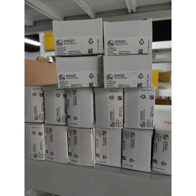 议价只卖正品原装IFM DI5023 DI602A  DI6004 DI6001 DI5020 DI52