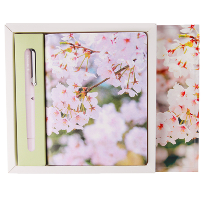 施耐德进口墨水胆节日送礼钢笔