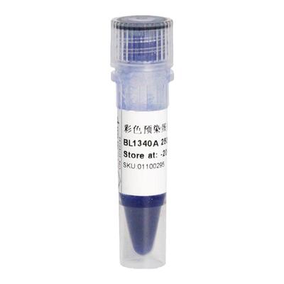 白鲨生物化学试剂彩色预染蛋白