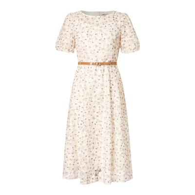 夏季新款蕾丝印花通勤连衣裙