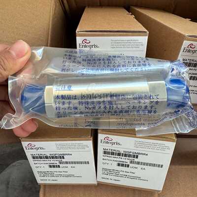 议价Wafergard SG 气体过滤器WGFGMBRR4应特