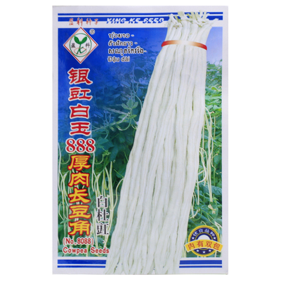 厚肉长豆角白豇豆种子特长春秋蔬菜孑种豆角种籽大全四季豆种高产