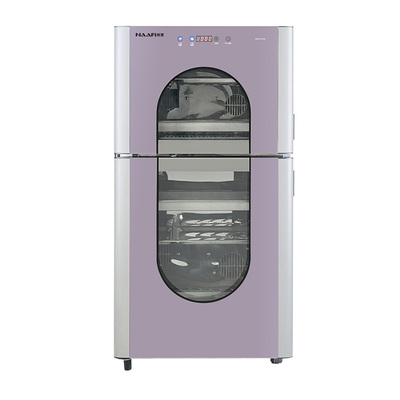 康宝消毒柜家用立式全二星级无菌储存客厅厨房100℃热风消毒碗柜