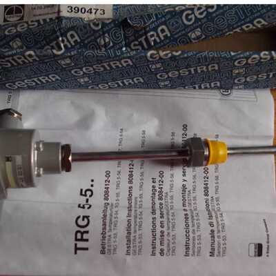【议价-可维修】STRA TRG 5 53 1xPT100 G1/2 /均有货