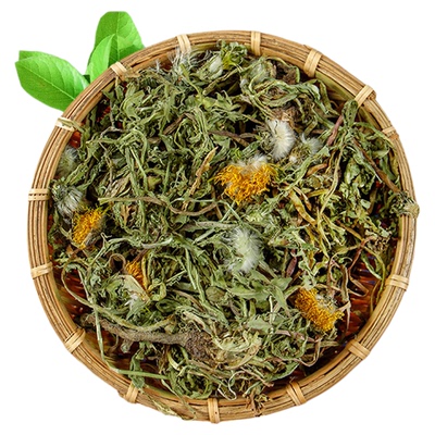 蒲公英带根干货500g新鲜浦公英非中药材官方正品不特级野生旗舰店