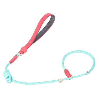 Touchdog它它狗狗P绳P链牵引绳遛狗链子大中小型犬宠物专用训狗绳