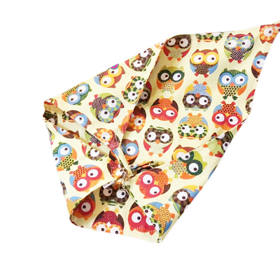 angora安哥鲁宠物雪貂安格鲁吊床